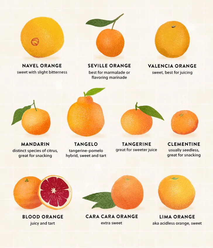 The Surprising Facts - Is Orange A Hybrid Fruit?