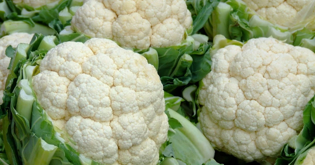 Is Cauliflower Man-Made Or A Natural Vegetable? Get The Facts