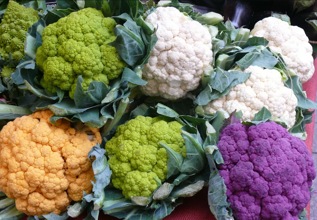 Is Cauliflower Man-Made Or A Natural Vegetable? Get The Facts