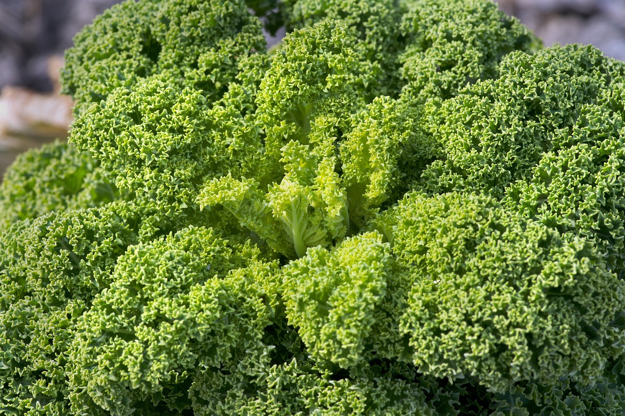 32 High-Fiber Foods For Digestion To Add To Your Diet Daily
